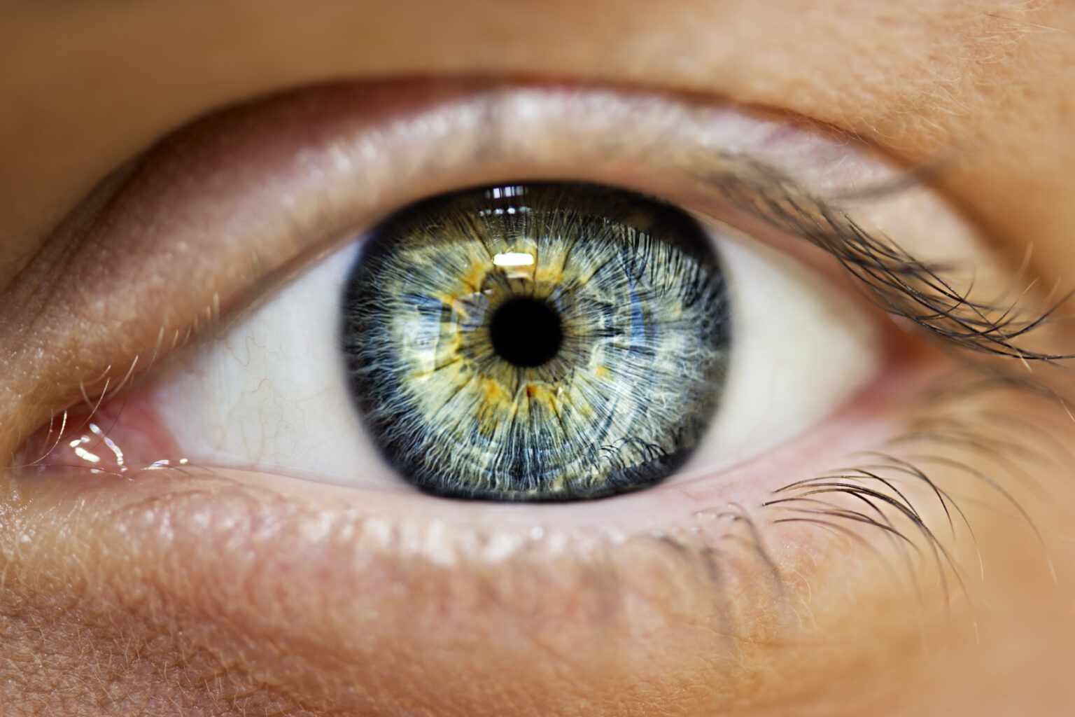 Understanding Retinal Eye Conditions and How to Treat Them