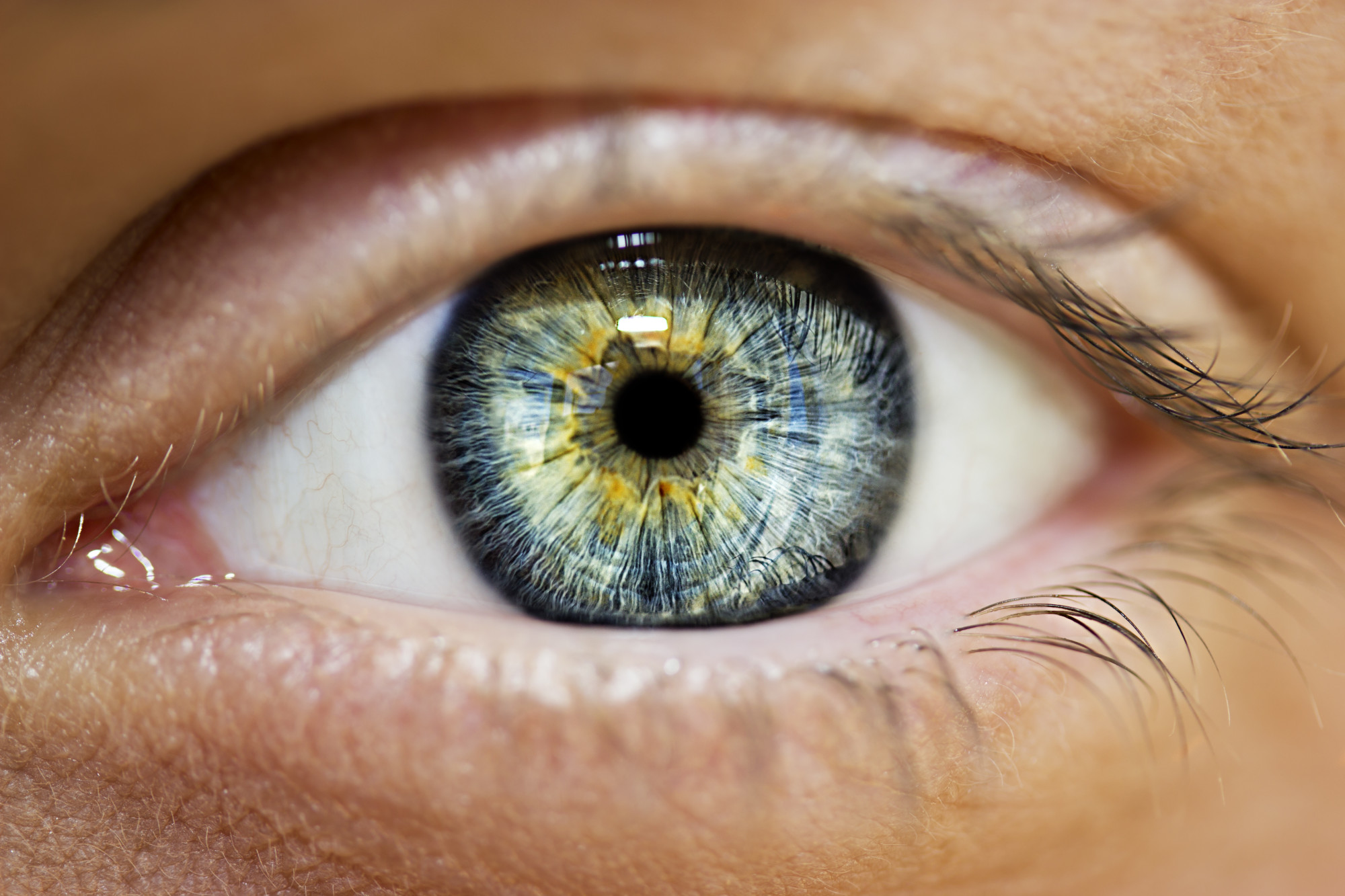 Understanding Retinal Eye Conditions and How to Treat Them